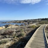 Asilomar State Beach and Coast Trail, California - 903 Reviews, Map ...
