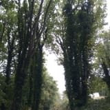 Seven Sisters and Friston Forest Circular, East Sussex, England - 1,411 ...