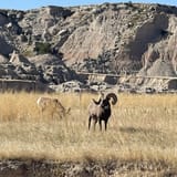 Castle Trail to Medicine Root Loop, South Dakota - 685 Reviews, Map ...