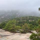 Beachcroft Path Trail, Maine - 635 Reviews, Map | AllTrails