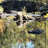 Wildcat Falls, New Hampshire - 2,393 Reviews, Map | AllTrails