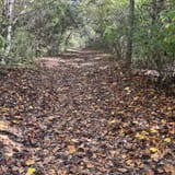 Core Creek Park Trail, Pennsylvania - 1,660 Reviews, Map | AllTrails