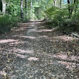 Core Creek Park Trail, Pennsylvania - 1,660 Reviews, Map | AllTrails