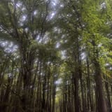 Seven Sisters and Friston Forest Circular, East Sussex, England - 1,411 ...