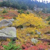 Sahale Arm Trail to Sahale Mountain, Washington - 345 Reviews, Map ...