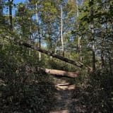 Auxier Ridge Trail to Courthouse Rock, Kentucky - 2,652 Reviews, Map ...