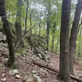 Kings Chair Loop, Alabama - 2,407 Reviews, Map | AllTrails
