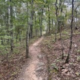 Kings Chair Loop, Alabama - 2,407 Reviews, Map | AllTrails