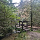 Snake Woodland and Snake Path Circular, Derbyshire, England - 223 ...