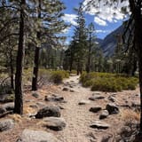 Mist Falls, California - 3,152 Reviews, Map | AllTrails