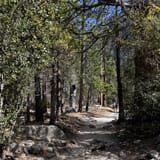 Mist Falls, California - 3,152 Reviews, Map | AllTrails
