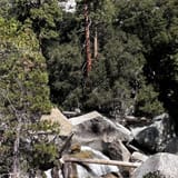 Mist Falls, California - 3,152 Reviews, Map | AllTrails
