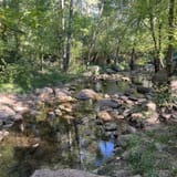 See Spring Trail, Arizona - 973 Reviews, Map | AllTrails