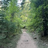 See Spring Trail, Arizona - 973 Reviews, Map | AllTrails