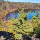 Surprise Lake Loop, New Jersey - 1,536 Reviews, Map | AllTrails