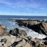 Marginal Way, Maine - 1,832 Reviews, Map | AllTrails
