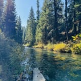 West Metolius River Trail, Oregon - 745 Reviews, Map | AllTrails