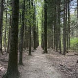 Plateau Trail, Ohio - 3,632 Reviews, Map | AllTrails