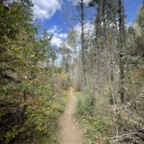Chamisa Trail, New Mexico - 1,599 Reviews, Map | AllTrails