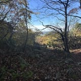 Pulpit Rock and Pinnacle Loop, Pennsylvania - 3,816 Reviews, Map ...