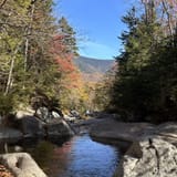 Basin Cascade Trail, New Hampshire - 2,465 Reviews, Map | AllTrails