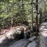 Basin Cascade Trail, New Hampshire - 2,465 Reviews, Map | AllTrails