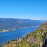 Angel's Rest, Oregon - 9,141 Reviews, Map | AllTrails