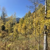 Desolation Lake via Mill D North Fork and Desolation Trail, Utah ...
