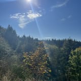 Japanese Gulch Loop Trail, Washington - 1,254 Reviews, Map | AllTrails