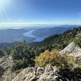 Mount Ellinor Trail, Washington - 3,014 Reviews, Map | AllTrails