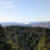 Crane Mountain Loop Hike, New York - 1,493 Reviews, Map | AllTrails