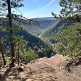 Tioga West Rim Trail, Pennsylvania - 551 Reviews, Map | AllTrails
