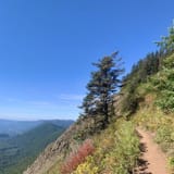 Bald Mountain from Lolo Pass Trail, Oregon - 2,159 Reviews, Map | AllTrails