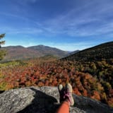 Rooster Comb Trail, New York - 1,420 Reviews, Map | AllTrails