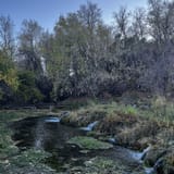 Cascade Springs Interpretive Trail, Utah - 533 Reviews, Map | AllTrails