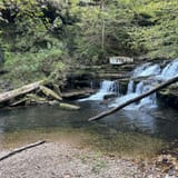 Busby and Machine Falls Loop, Tennessee - 2,193 Reviews, Map | AllTrails