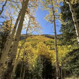 Lockett Meadow Inner Basin Loop, Arizona - 823 Reviews, Map | AllTrails