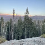 Muir Grove Trail, California - 419 Reviews, Map | AllTrails