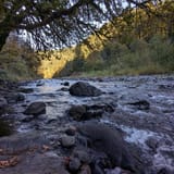 Wilson River Trail, Oregon - 822 Reviews, Map | AllTrails