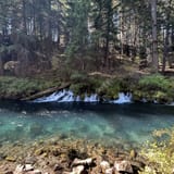 West Metolius River Trail, Oregon - 745 Reviews, Map | AllTrails