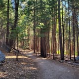 Mist Falls, California - 3,152 Reviews, Map | AllTrails