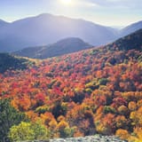 Rooster Comb Trail, New York - 1,420 Reviews, Map | AllTrails