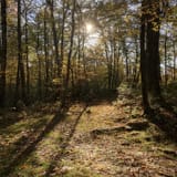 Perry Valley Loop Trail, West Virginia - 128 Reviews, Map | AllTrails