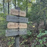 Appalachian Trail: Woody Gap to Neel Gap, Georgia - 556 Reviews, Map ...