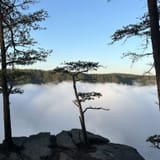 Diamond Point Overlook via Endless Wall Trail, West Virginia - 2,431 ...