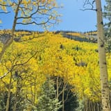 Inner Basin Trail, Arizona - 881 Reviews, Map | AllTrails