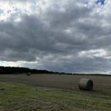 Thornton Reservoir and Bagworth Heath Woods Circular, Leicestershire ...