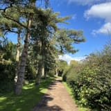 Thornton Reservoir and Bagworth Heath Woods Circular, Leicestershire ...