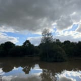 Thornton Reservoir and Bagworth Heath Woods Circular, Leicestershire ...