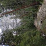 Mist Falls, California - 3,152 Reviews, Map | AllTrails